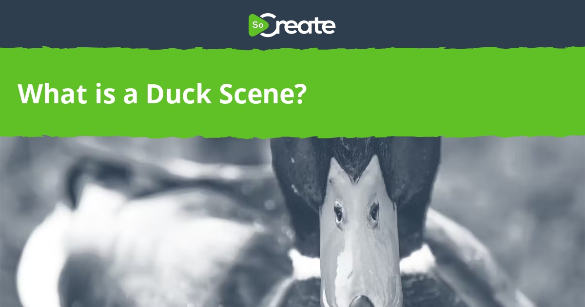 SoCreate - What is a Duck Scene in a Movie?