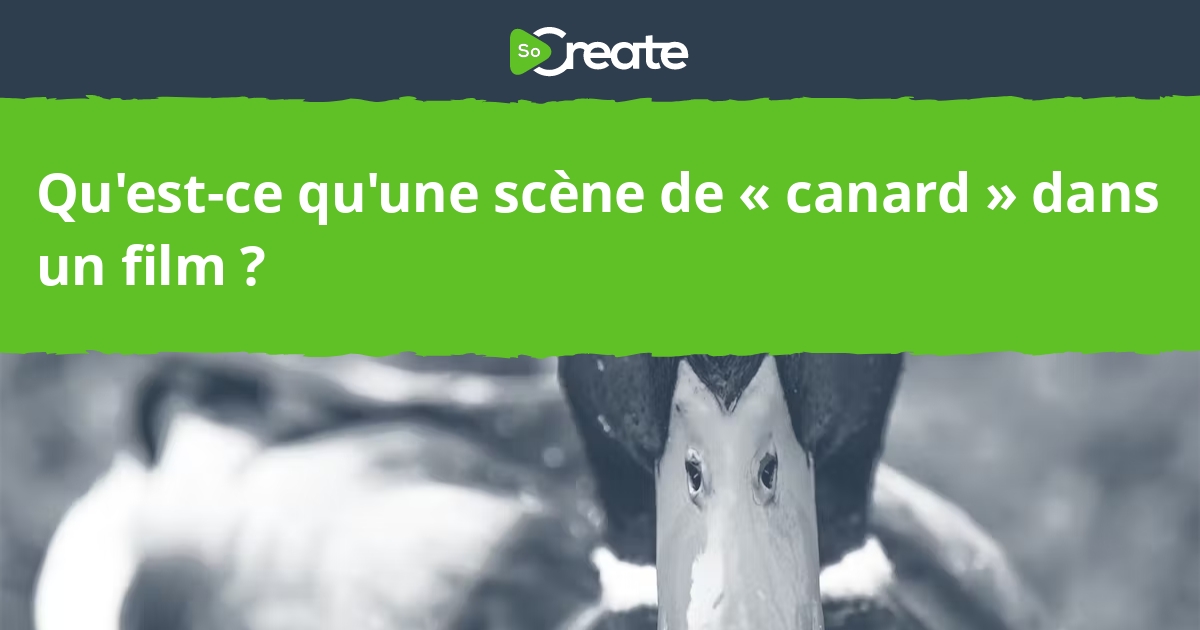 SoCreate - Qu'est-ce qu'une scène de « canard » dans un film